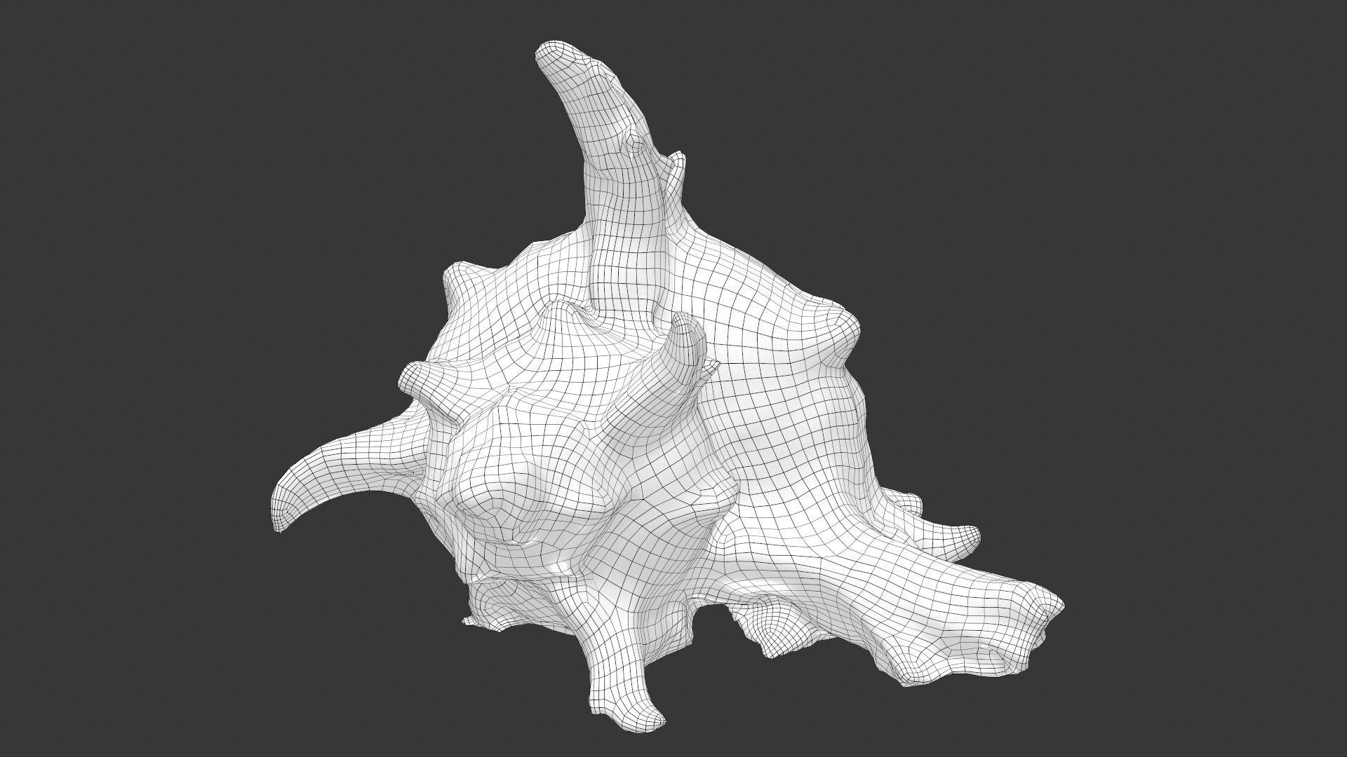 3D Model Sea Shell - TurboSquid 1640580