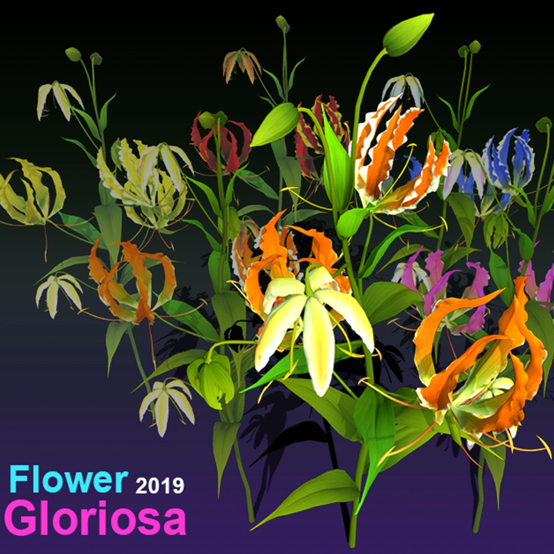 3D Flower Zimbabwe - TurboSquid 2132559