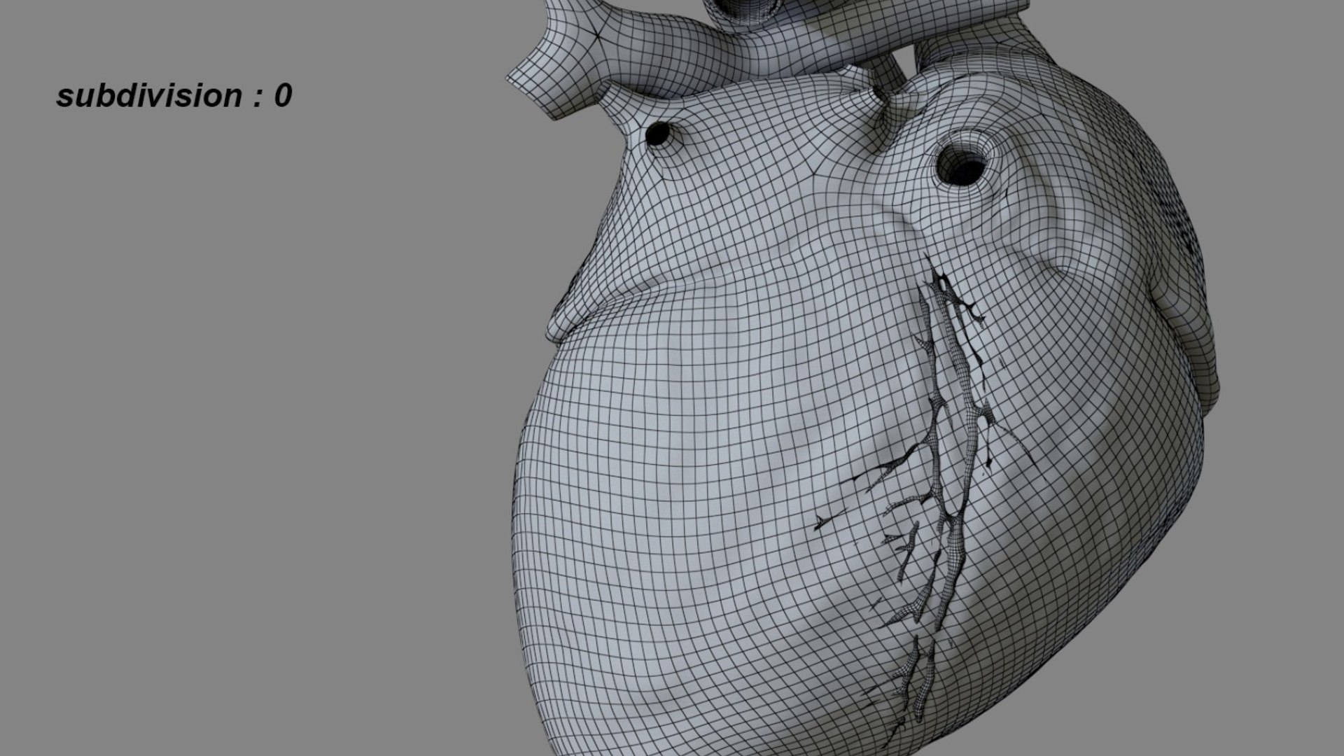 Human Heart Anatomy Animation 3D Model - TurboSquid 2424372