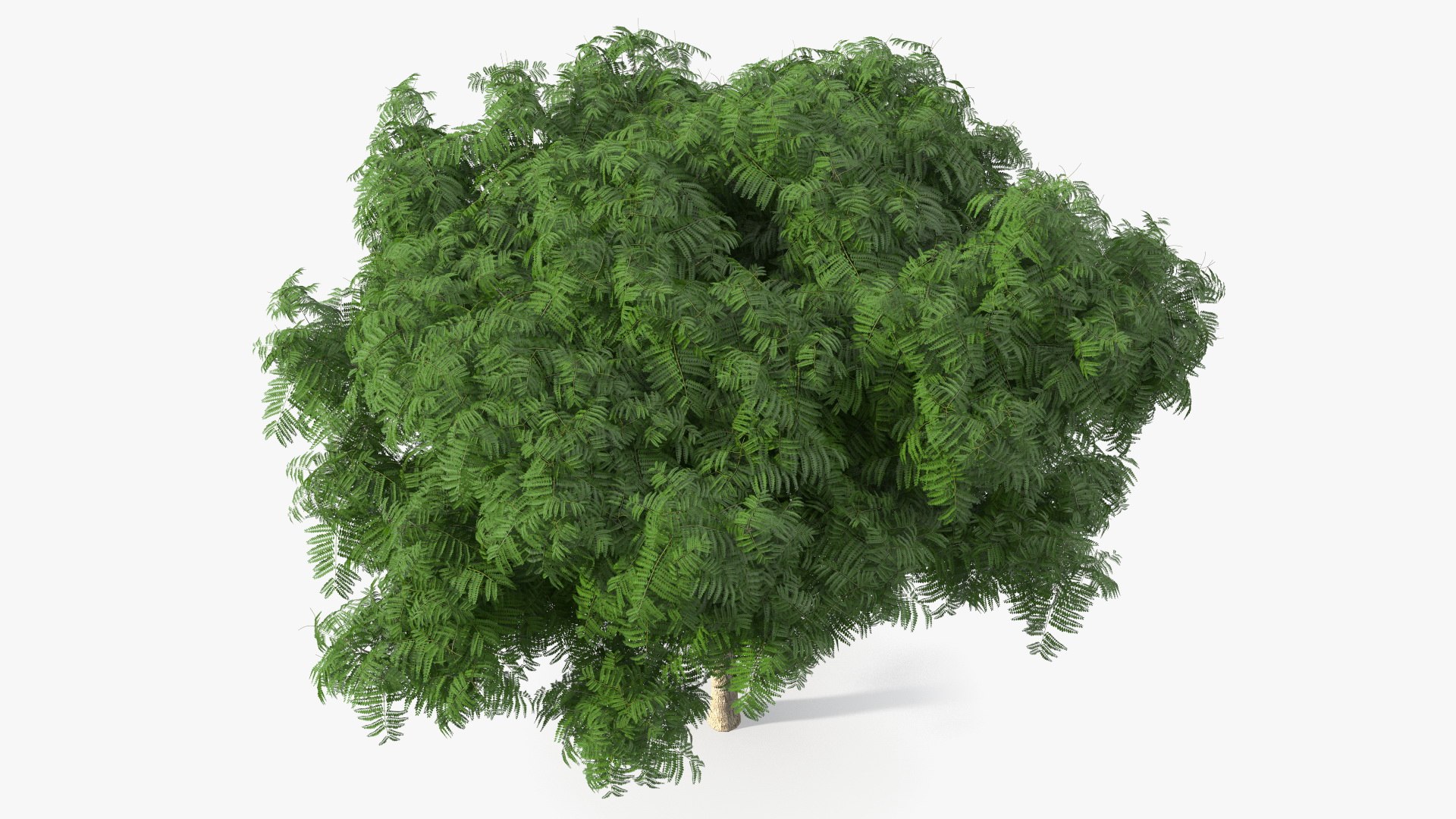 3D Tree Copperpod - TurboSquid 1705123