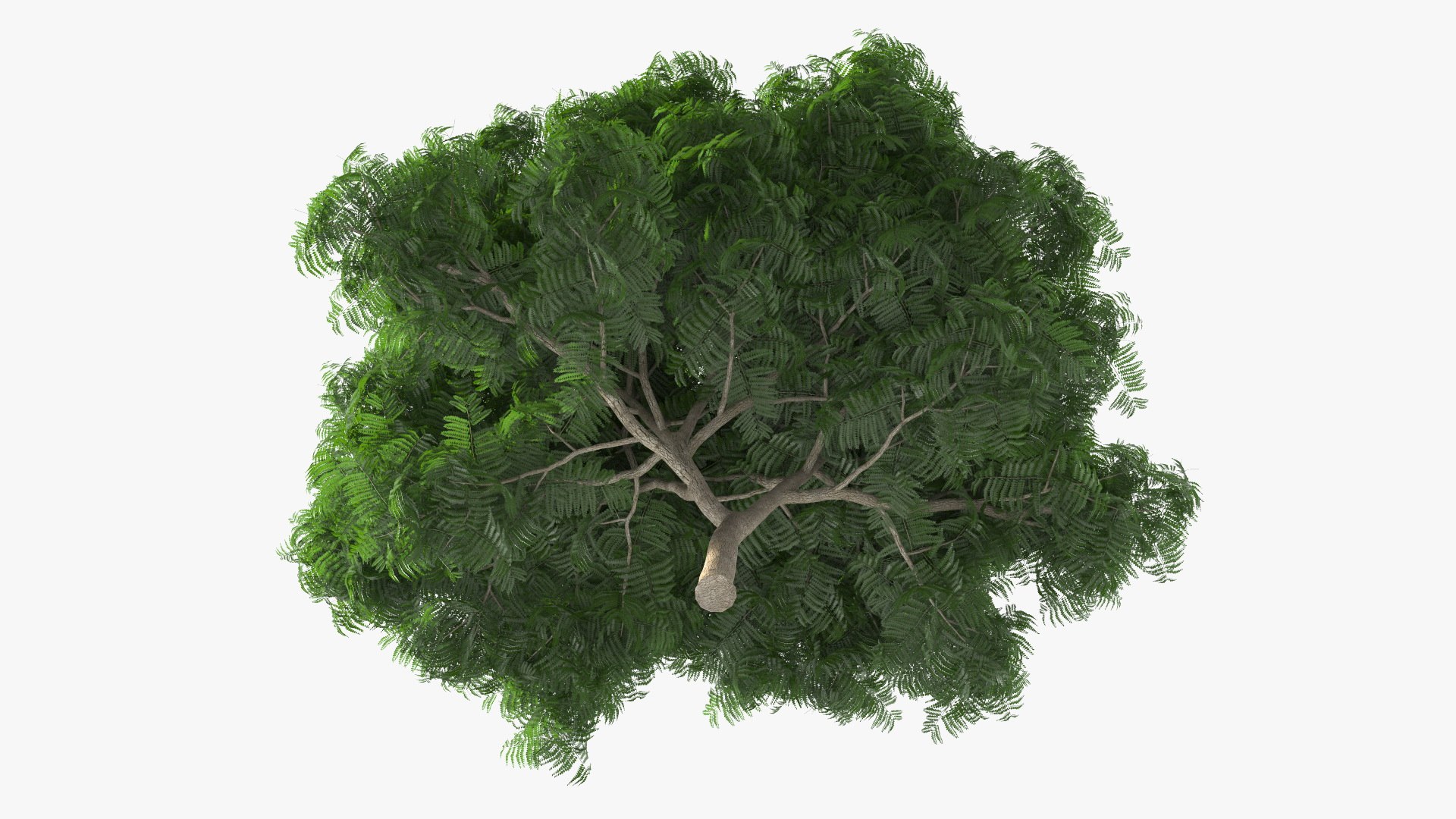 3D Tree Copperpod - TurboSquid 1705123