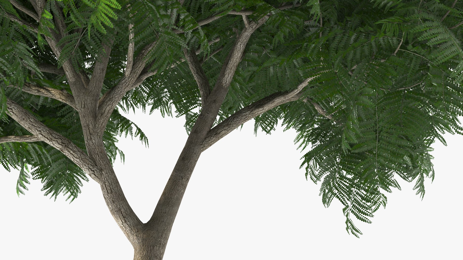 3D Tree Copperpod - TurboSquid 1705123