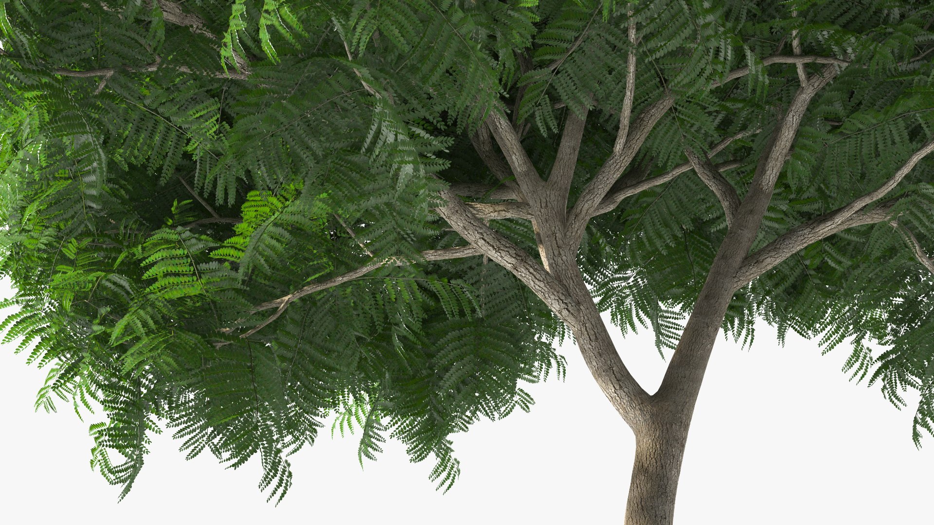 3D Tree Copperpod - TurboSquid 1705123