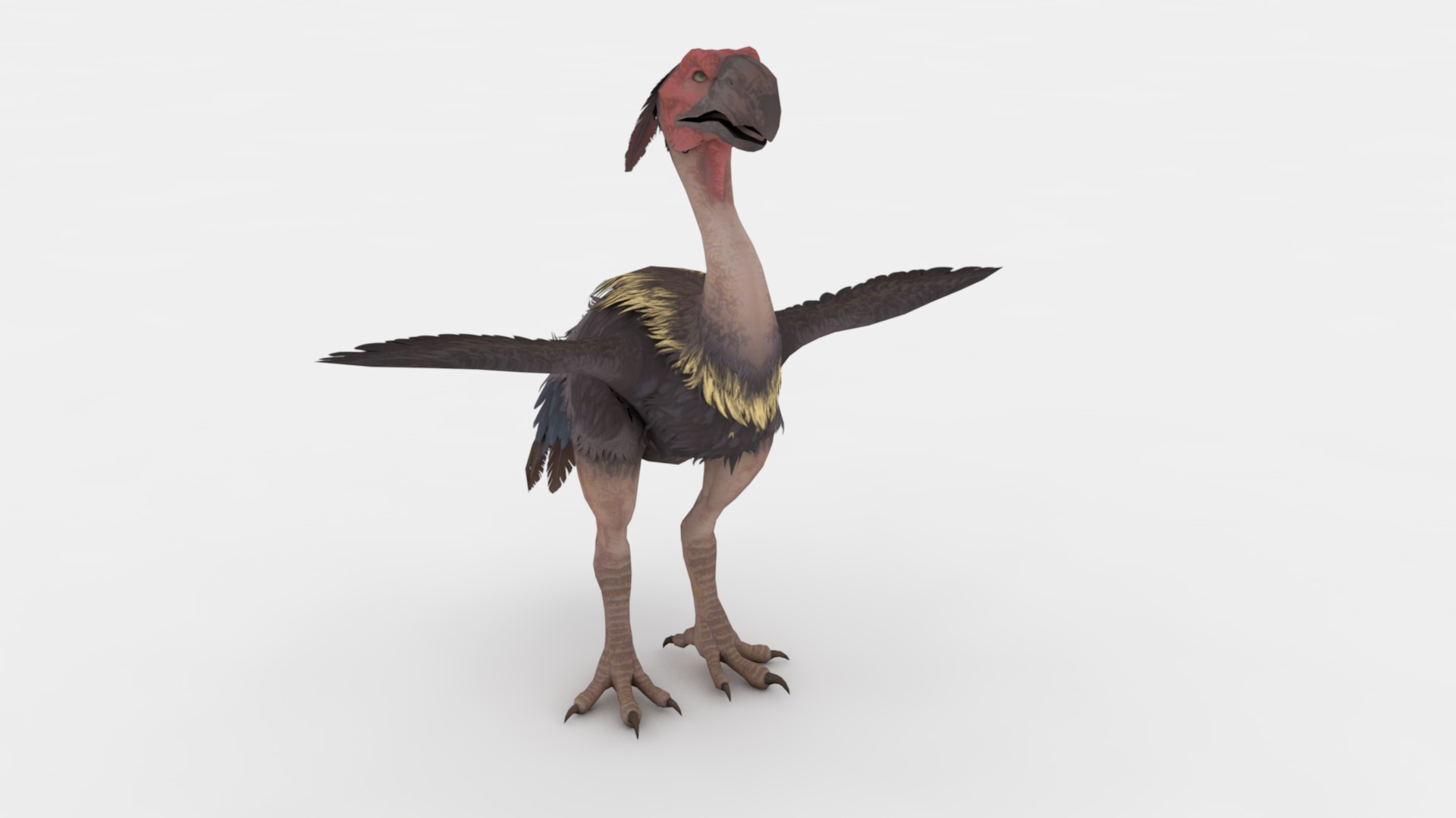 Axe Beak 3D Model - TurboSquid 2343006