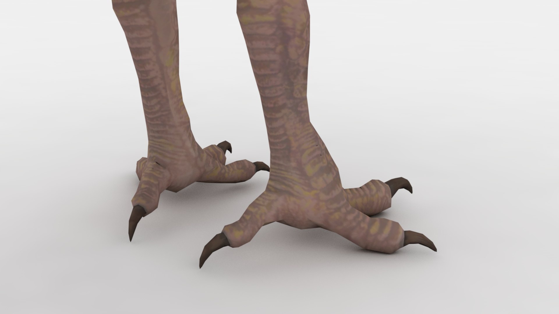 Axe Beak 3D Model - TurboSquid 2343006