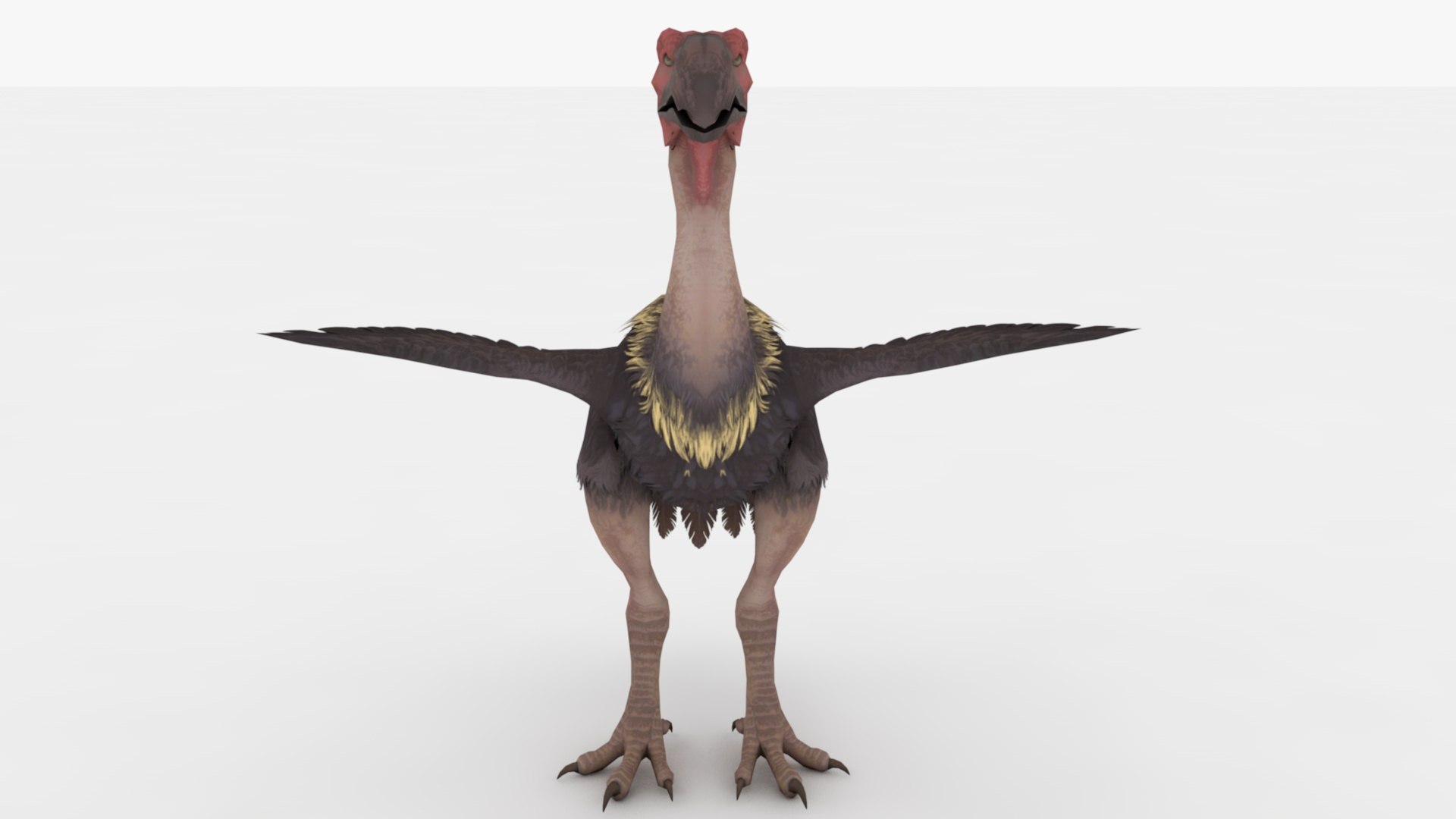 Axe Beak 3D Model - TurboSquid 2343006