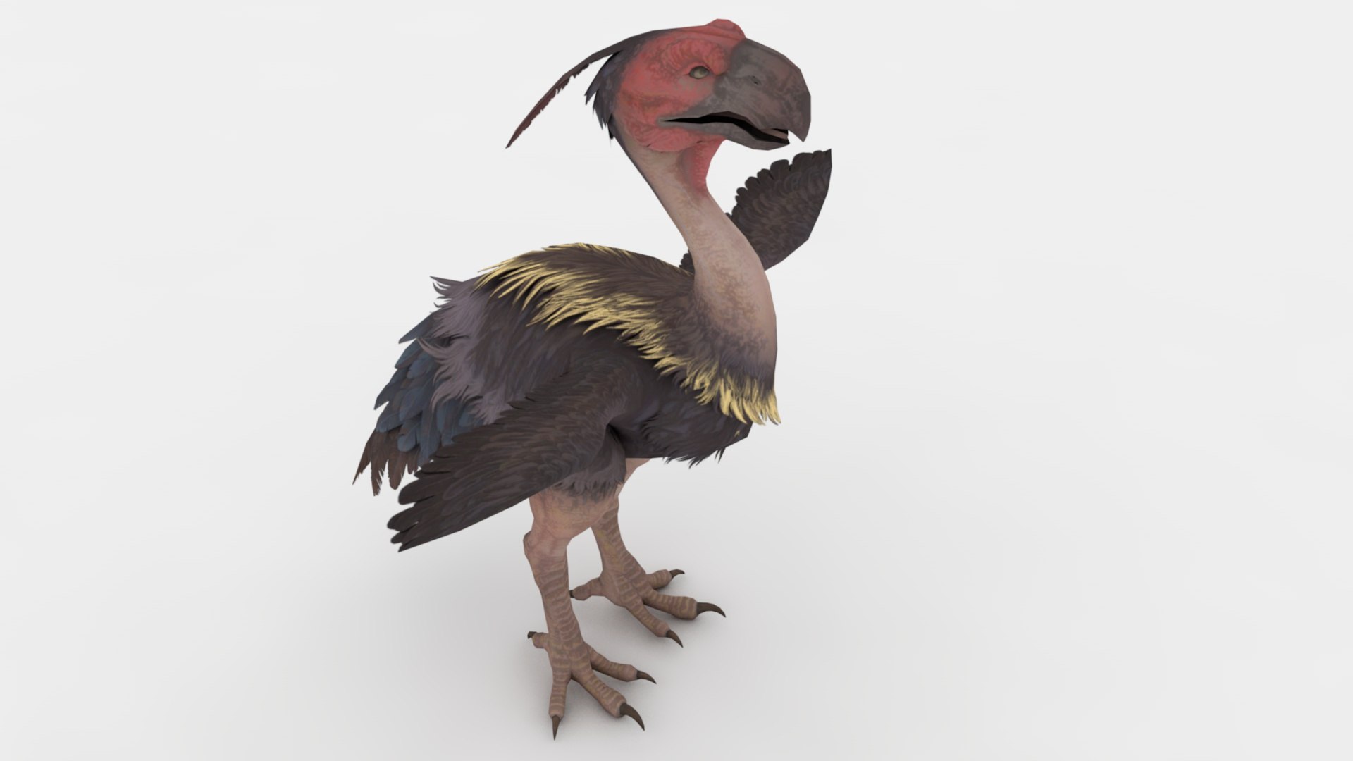 Axe Beak 3D Model - TurboSquid 2343006