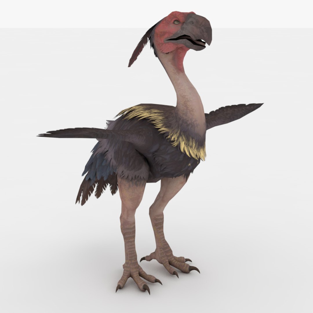 Axe Beak 3D Model - TurboSquid 2343006