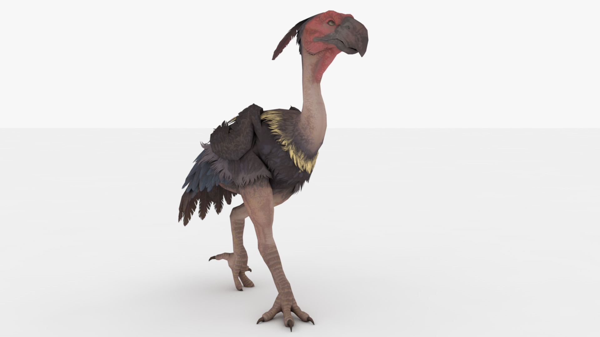 Axe Beak 3D Model - TurboSquid 2343006