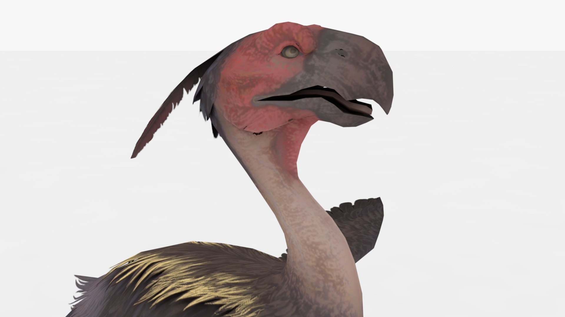 Axe Beak 3D Model - TurboSquid 2343006