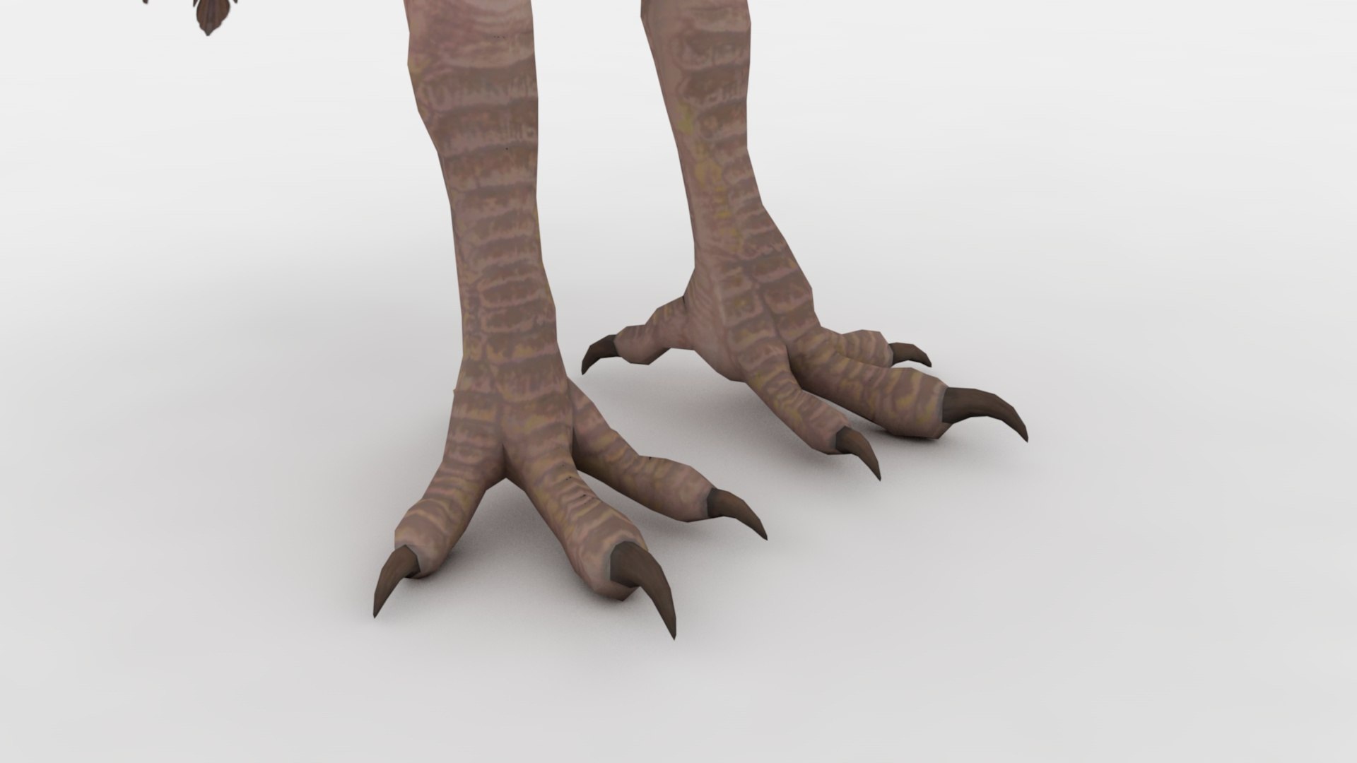 Axe Beak 3D Model - TurboSquid 2343006