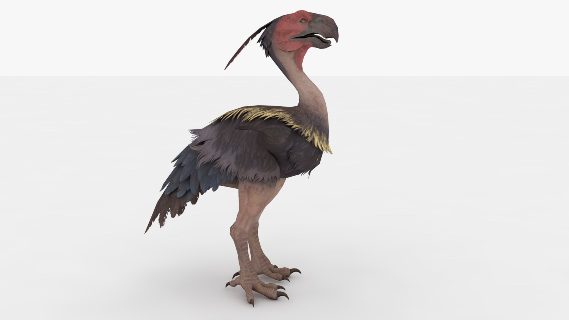 Axe Beak 3D Model - TurboSquid 2343006