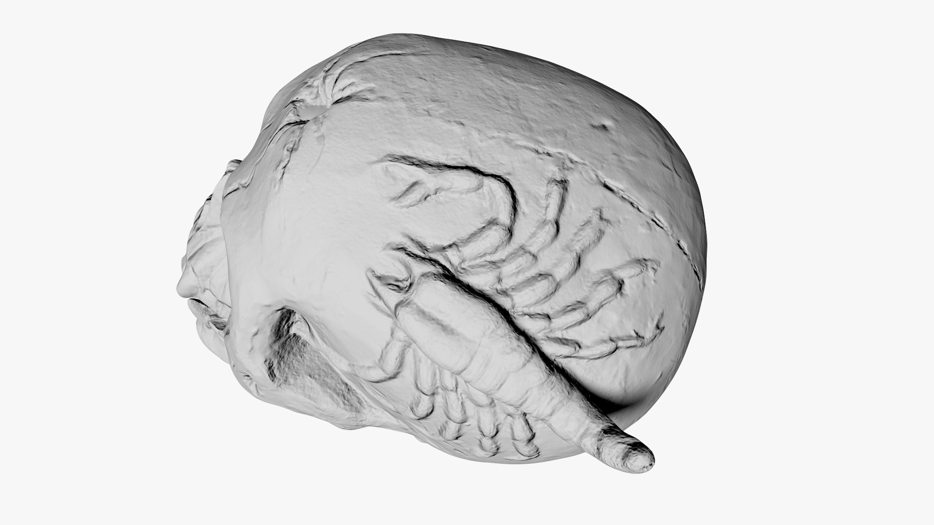 3D demon skull model - TurboSquid 1371645