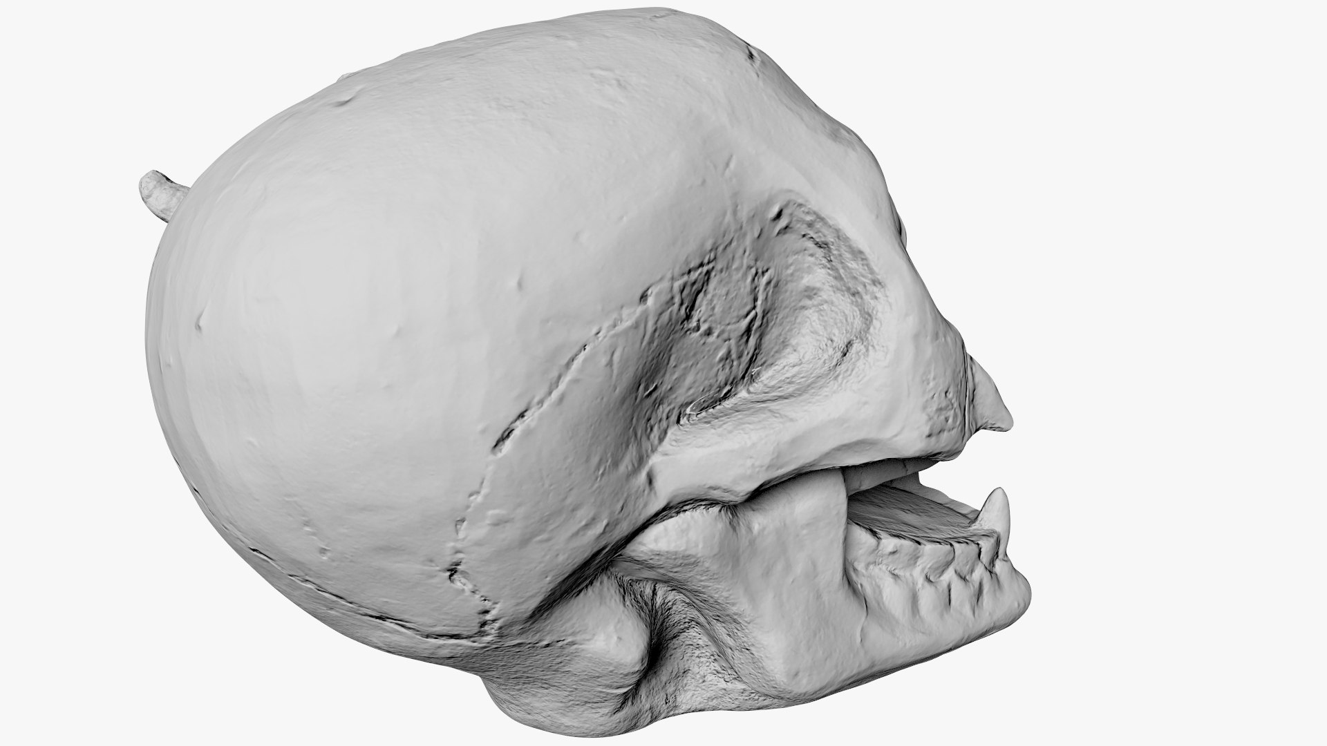 3D demon skull model - TurboSquid 1371645