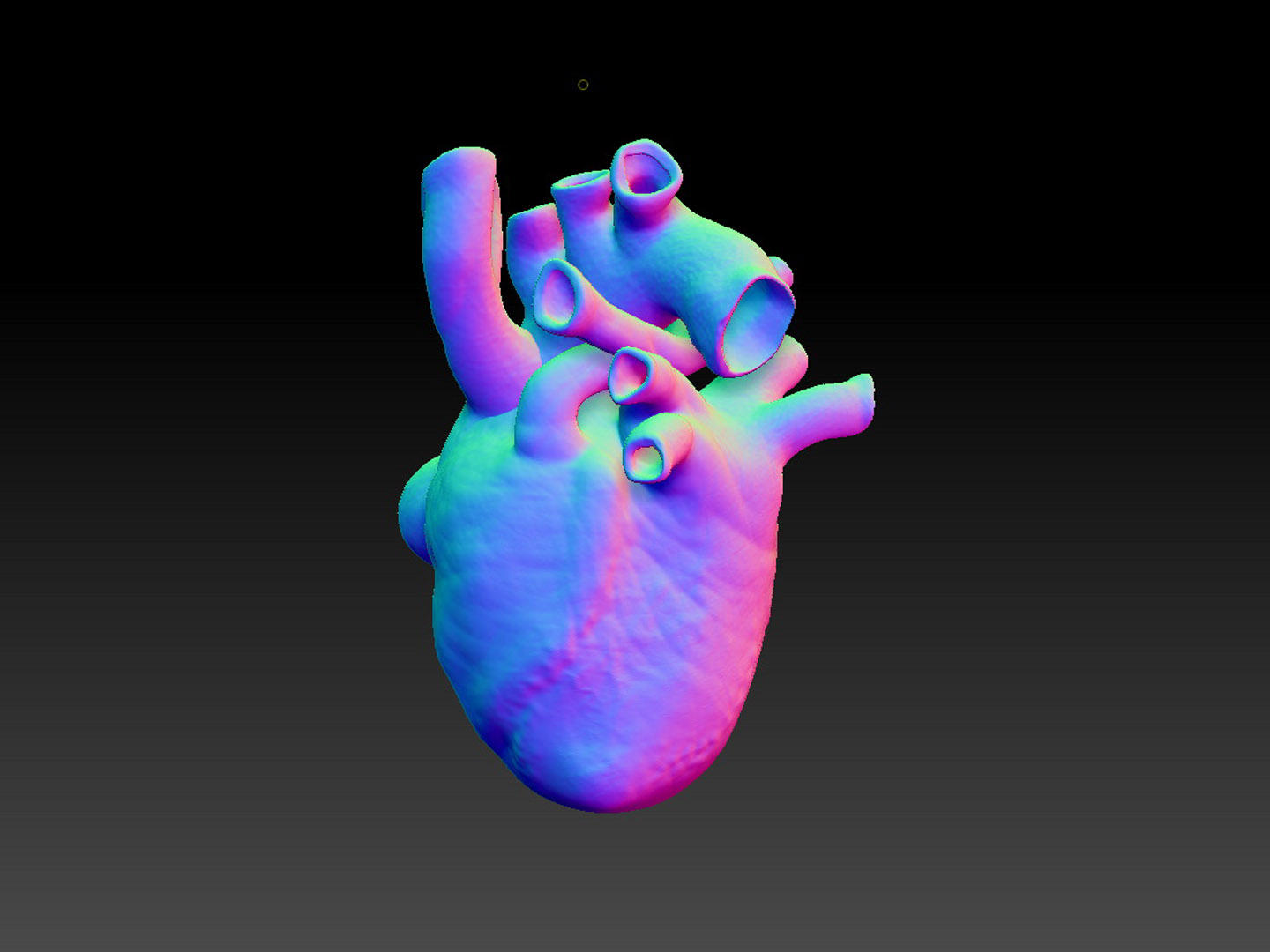 3d heart