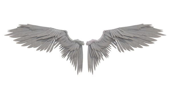 Blender Wings Models | TurboSquid