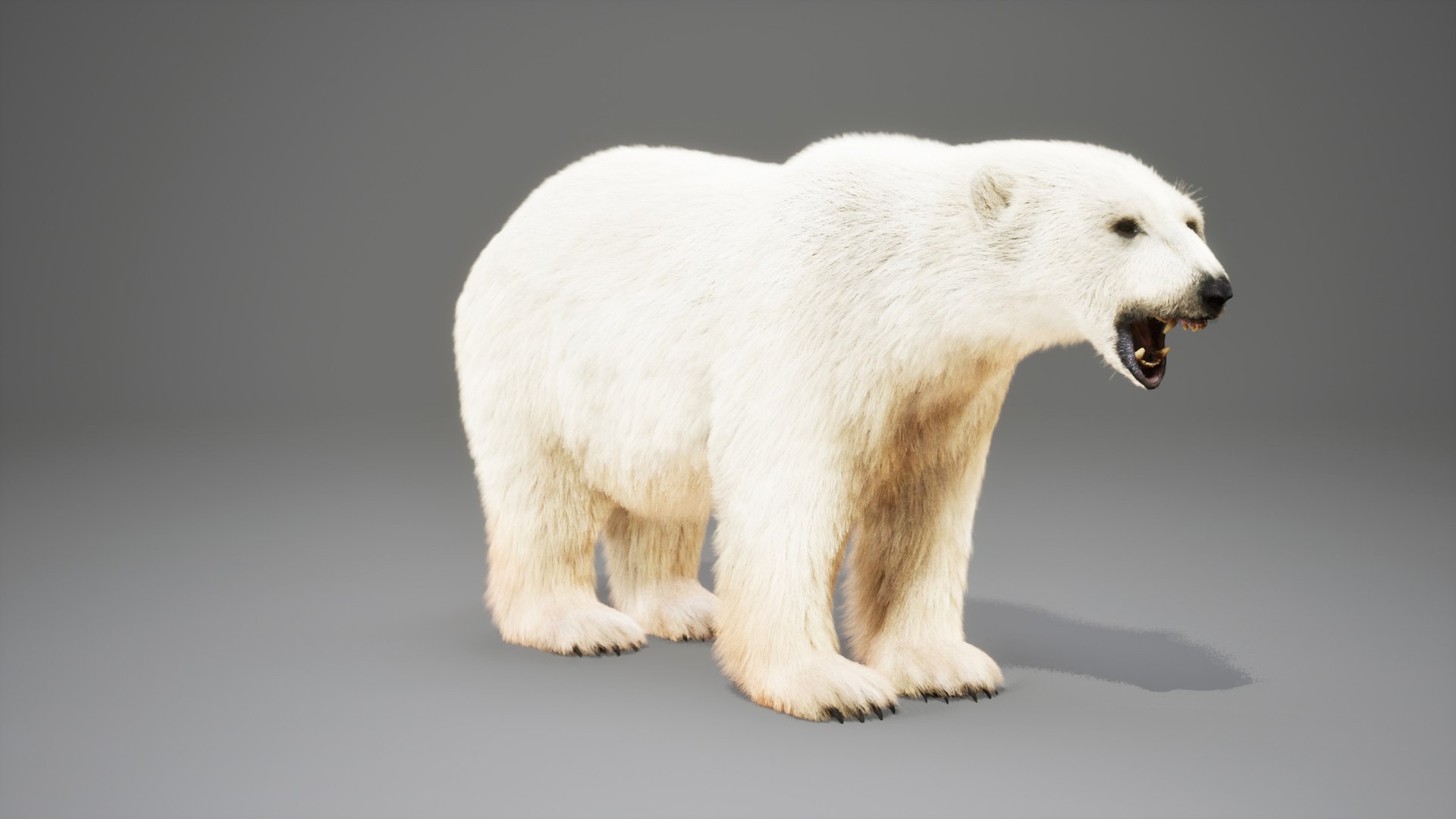 Polar Bear Rig UNREAL Project 3D Model - TurboSquid 2314971