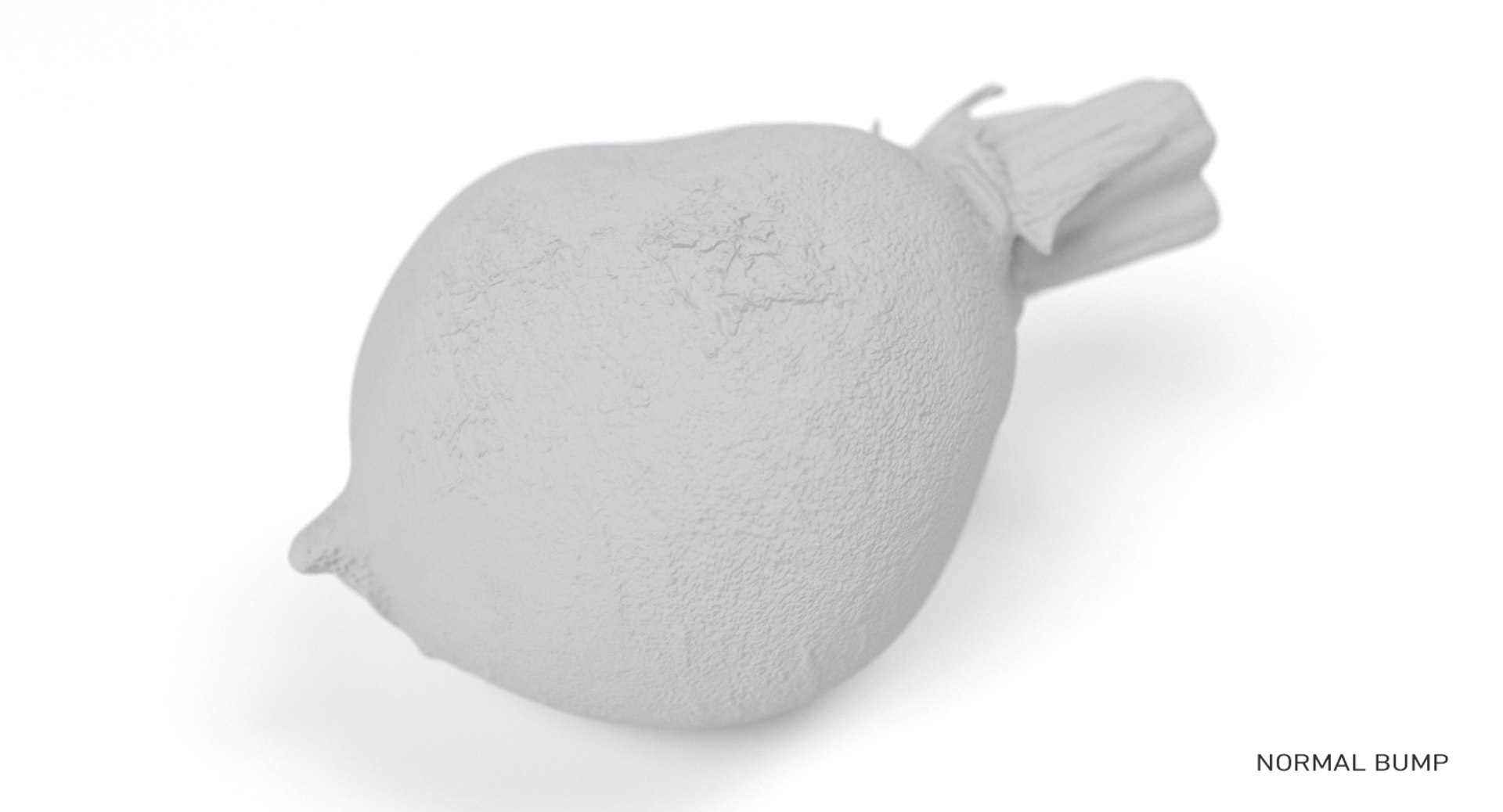 Realistic Beetroot 01 3D Model - TurboSquid 1395157