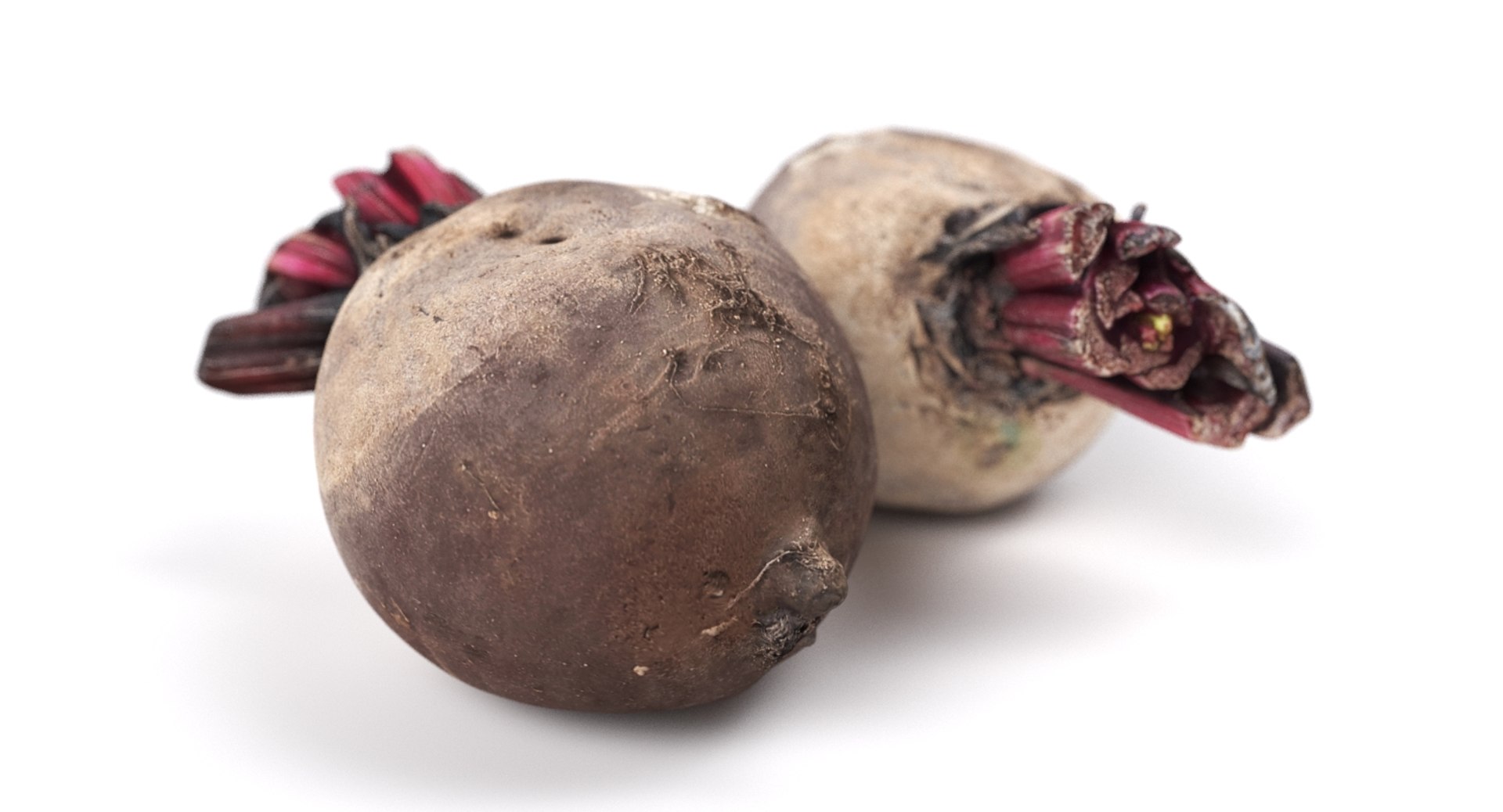 Realistic Beetroot 01 3D Model - TurboSquid 1395157