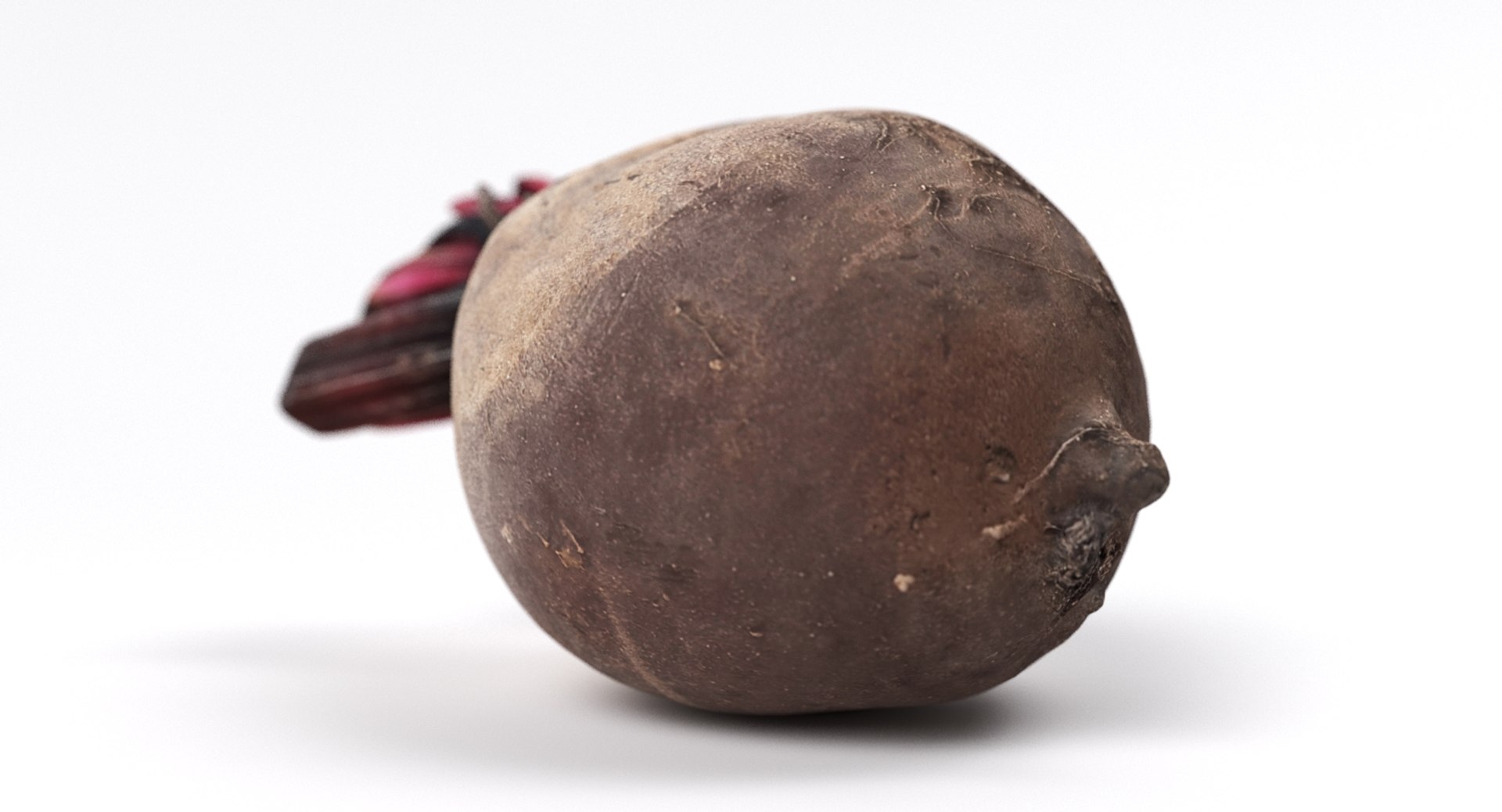 Realistic Beetroot 01 3D Model - TurboSquid 1395157