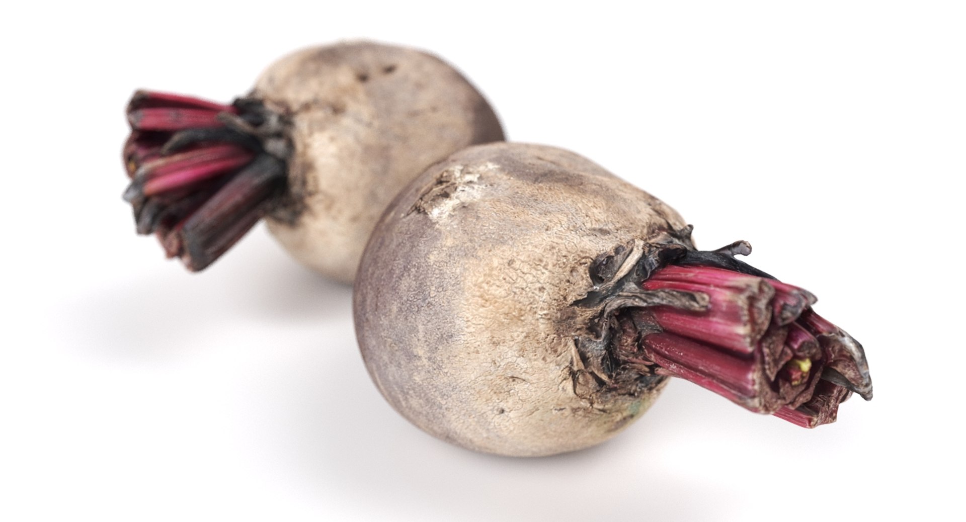 Realistic Beetroot 01 3D Model - TurboSquid 1395157