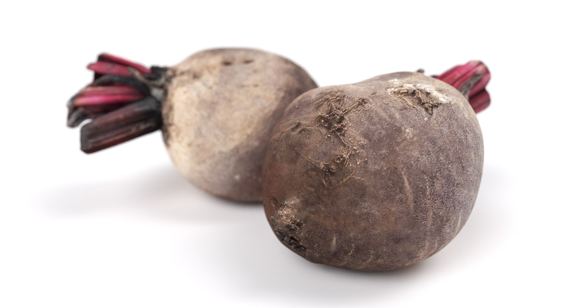 Realistic Beetroot 01 3D Model - TurboSquid 1395157