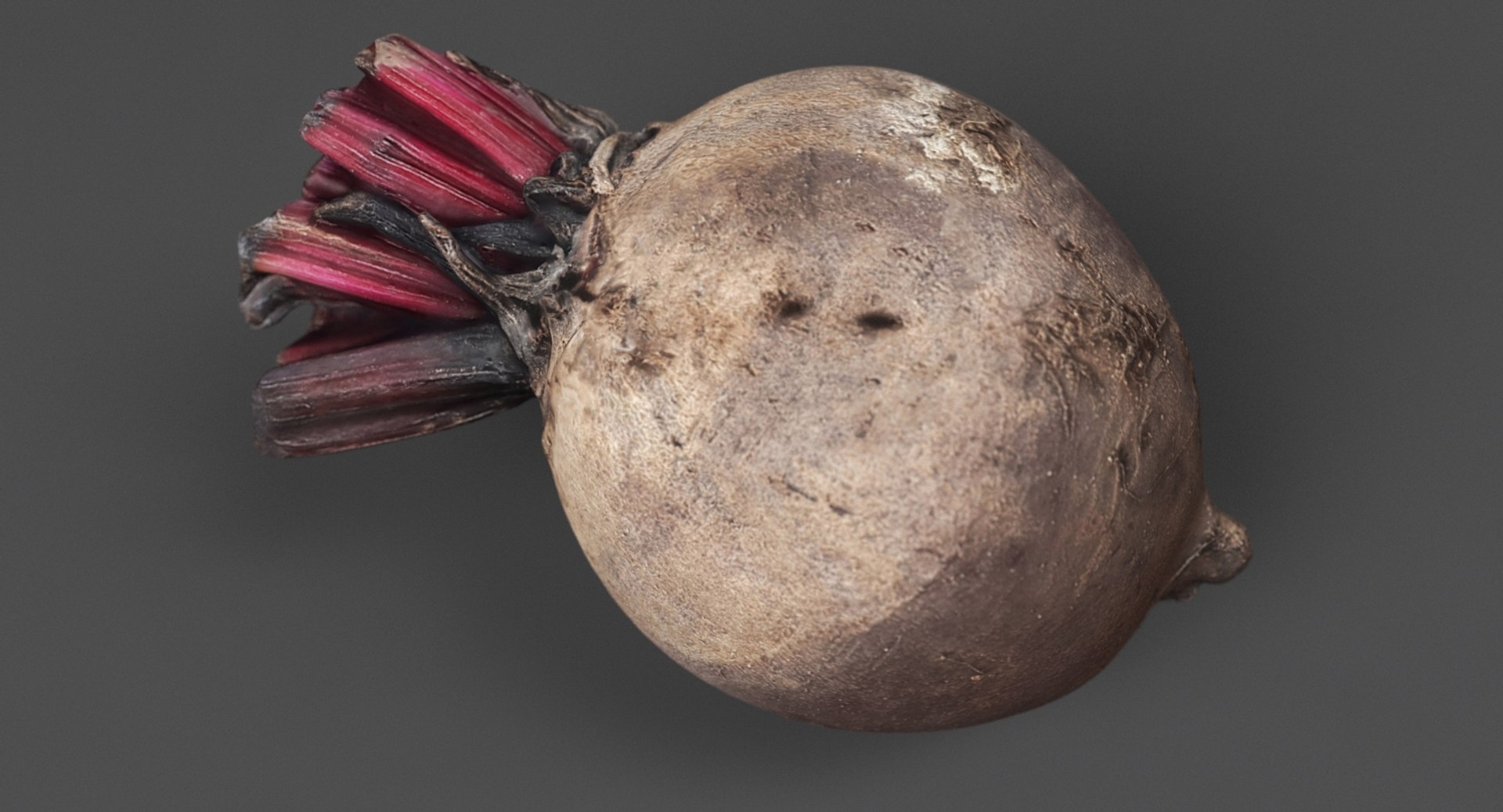 Realistic Beetroot 01 3D Model - TurboSquid 1395157