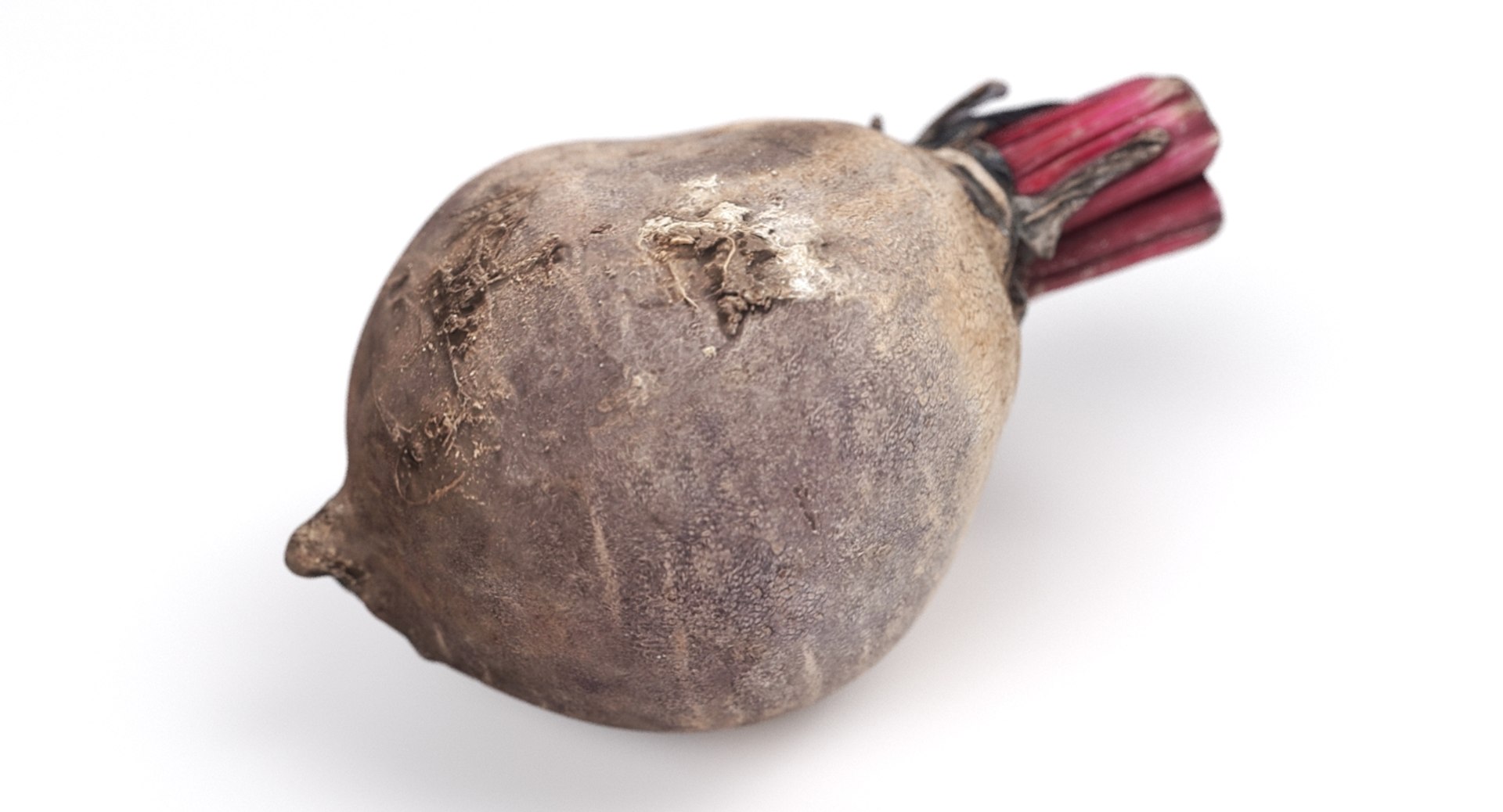 Realistic Beetroot 01 3D Model - TurboSquid 1395157