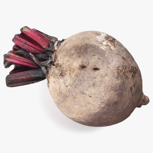 Realistic beetroot 01 3D model - TurboSquid 1395157