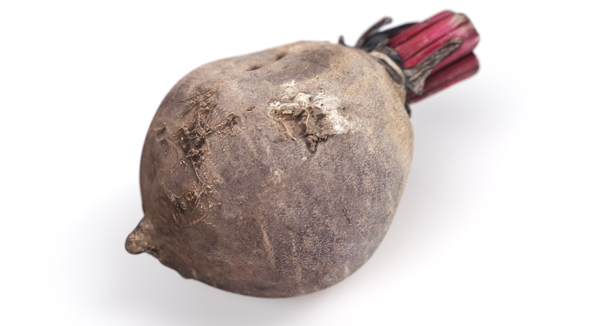 Realistic Beetroot 01 3D Model - TurboSquid 1395157