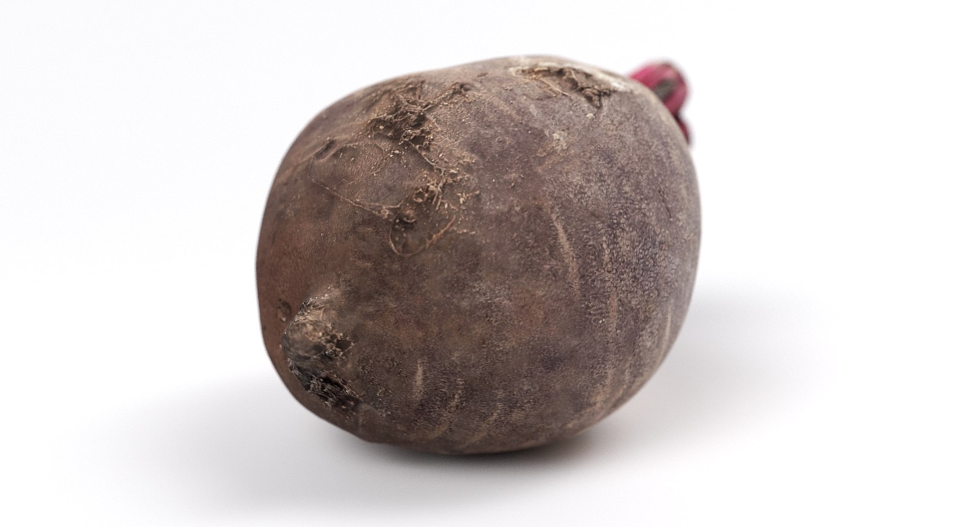 Realistic Beetroot 01 3D Model - TurboSquid 1395157