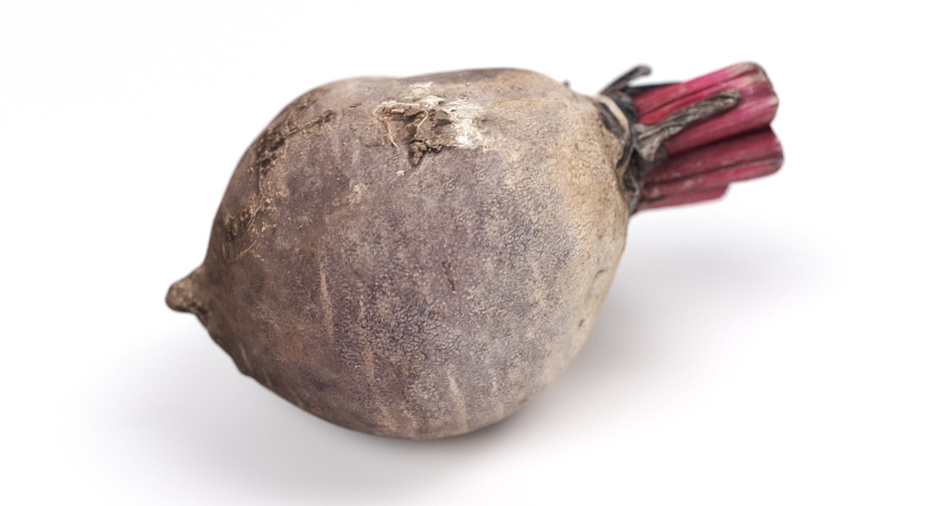 Realistic Beetroot 01 3D Model - TurboSquid 1395157