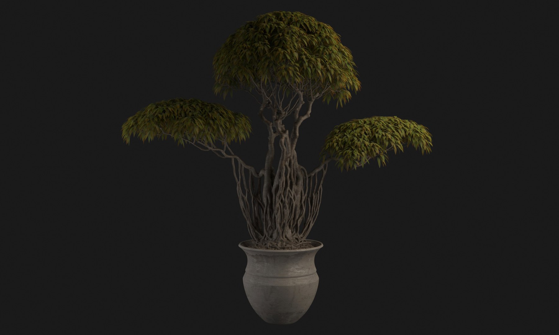 Chinese Style Bonsai 3D Model - TurboSquid 1854428
