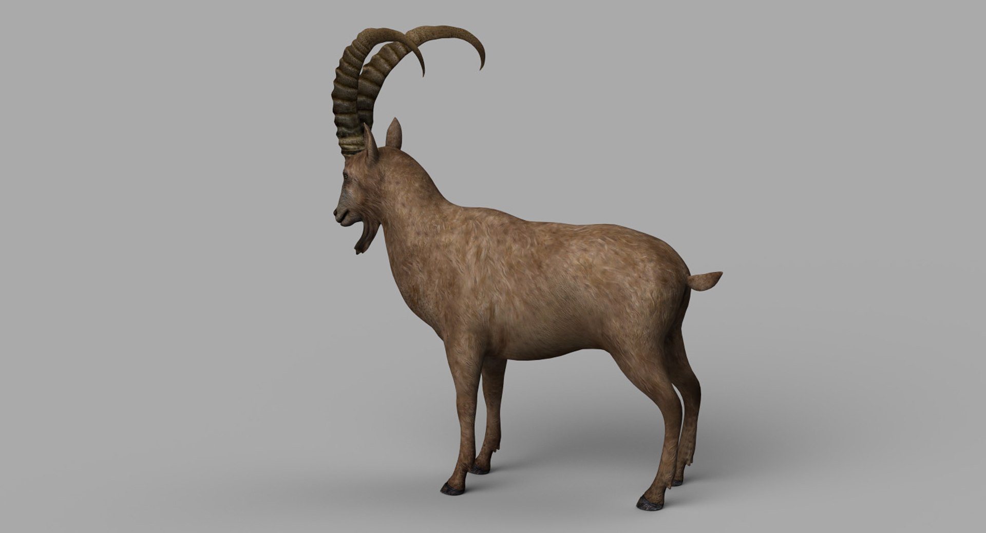 3dsmax Mountain Goat