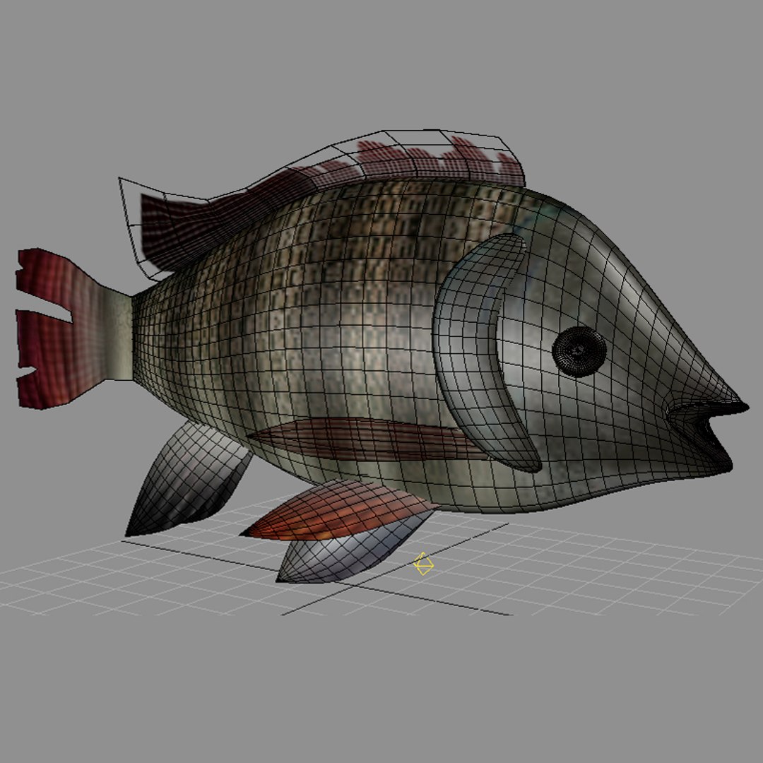 Tilapia Fish1 3D Model - TurboSquid 2047547