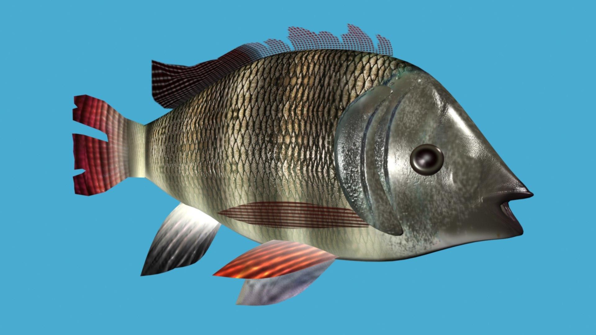 Tilapia Fish1 3D Model - TurboSquid 2047547