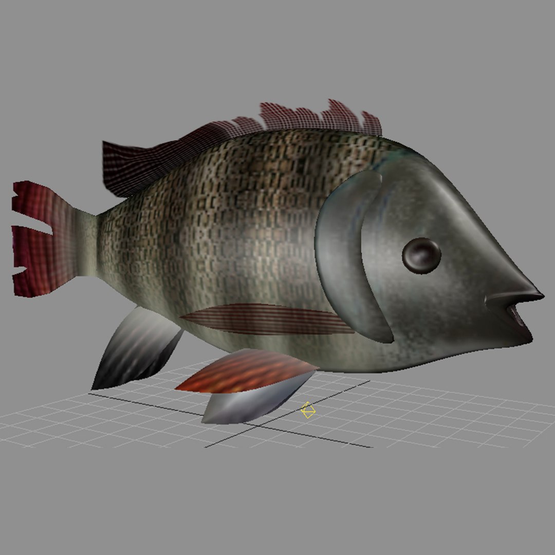 Tilapia Fish1 3D Model - TurboSquid 2047547