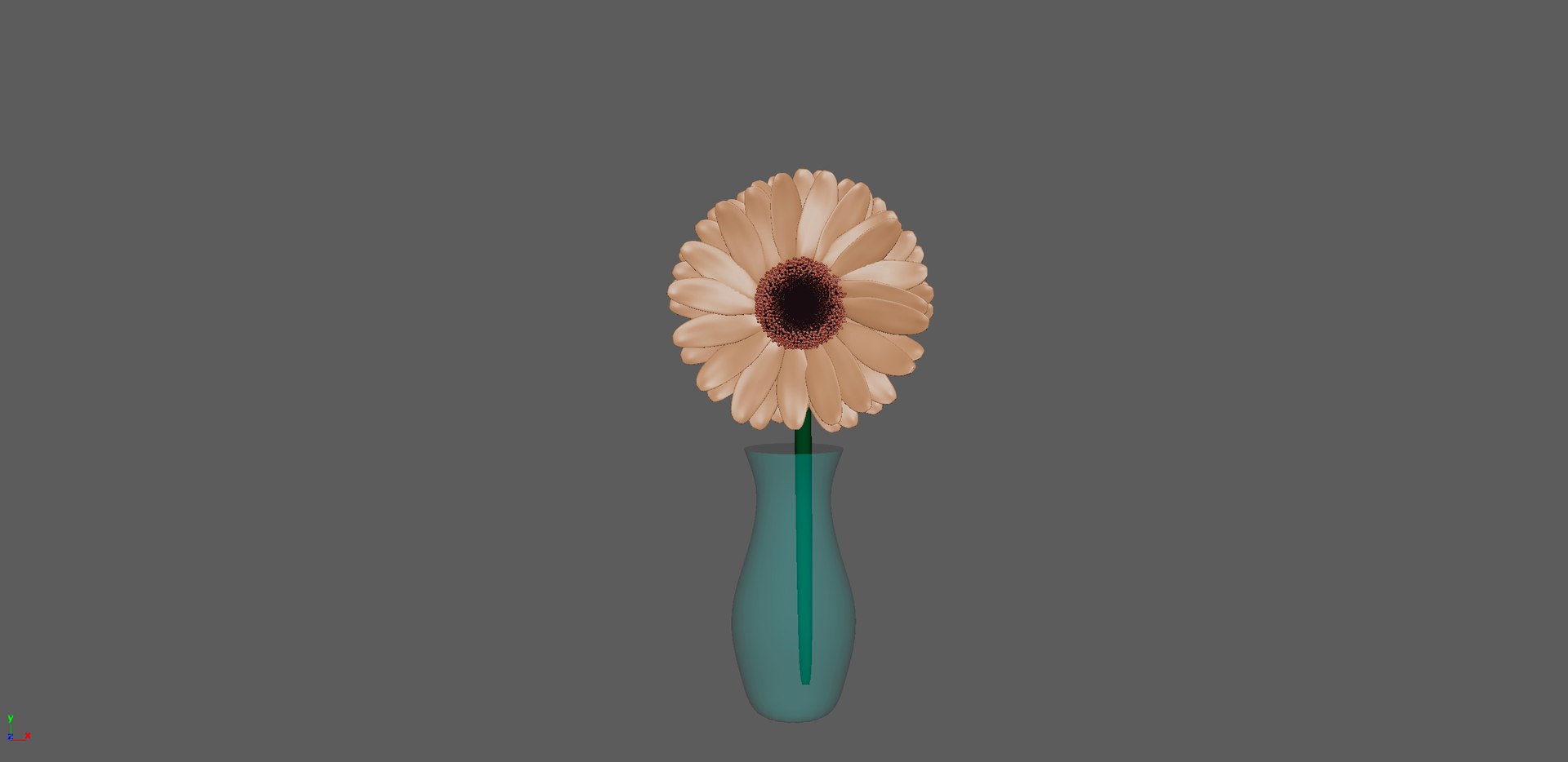 Gerber Daisy Model - TurboSquid 1887979
