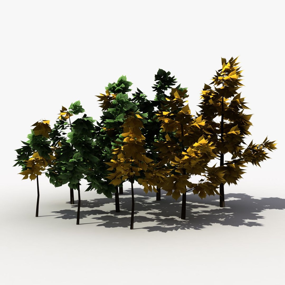 3d Modelled Tree Model