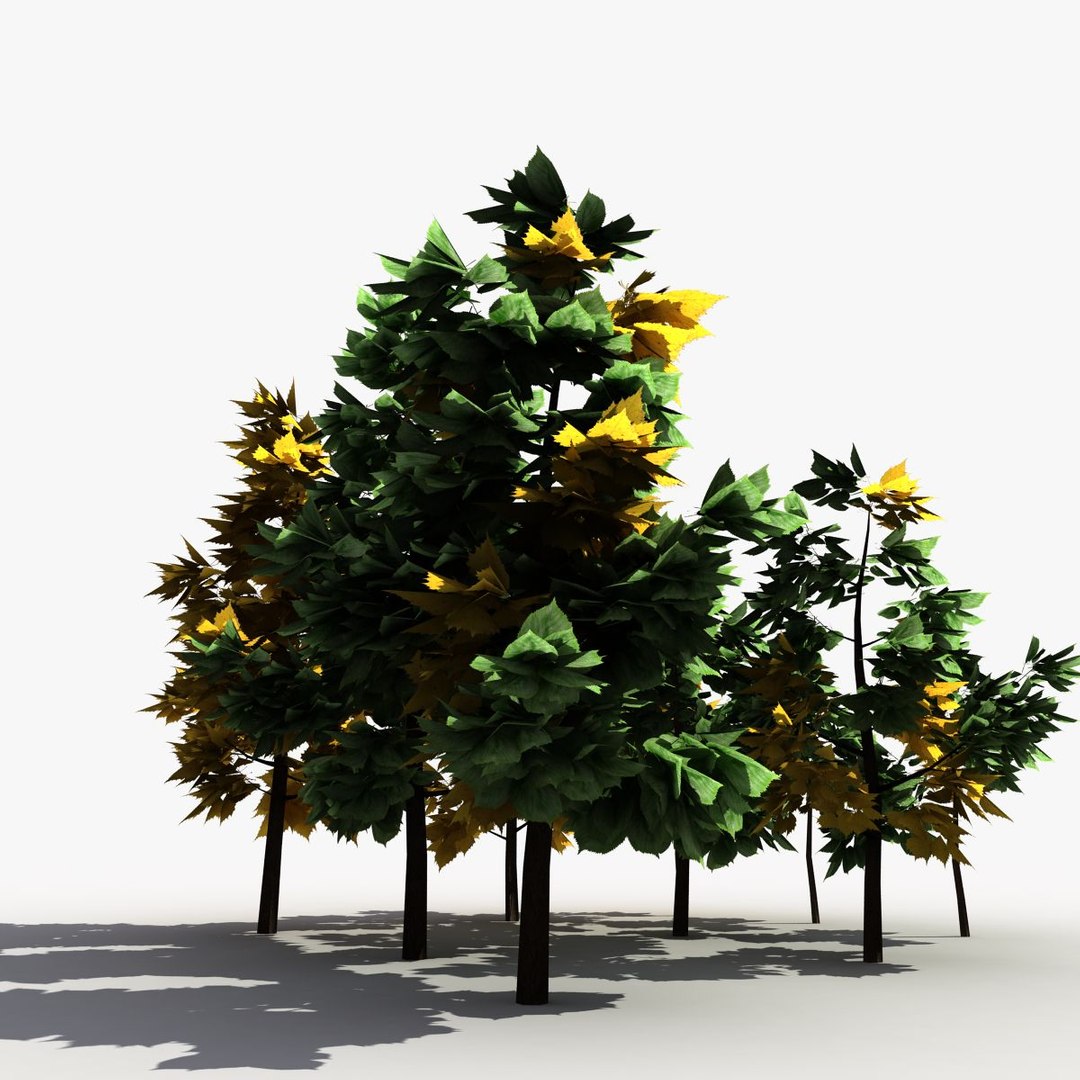 3d Modelled Tree Model