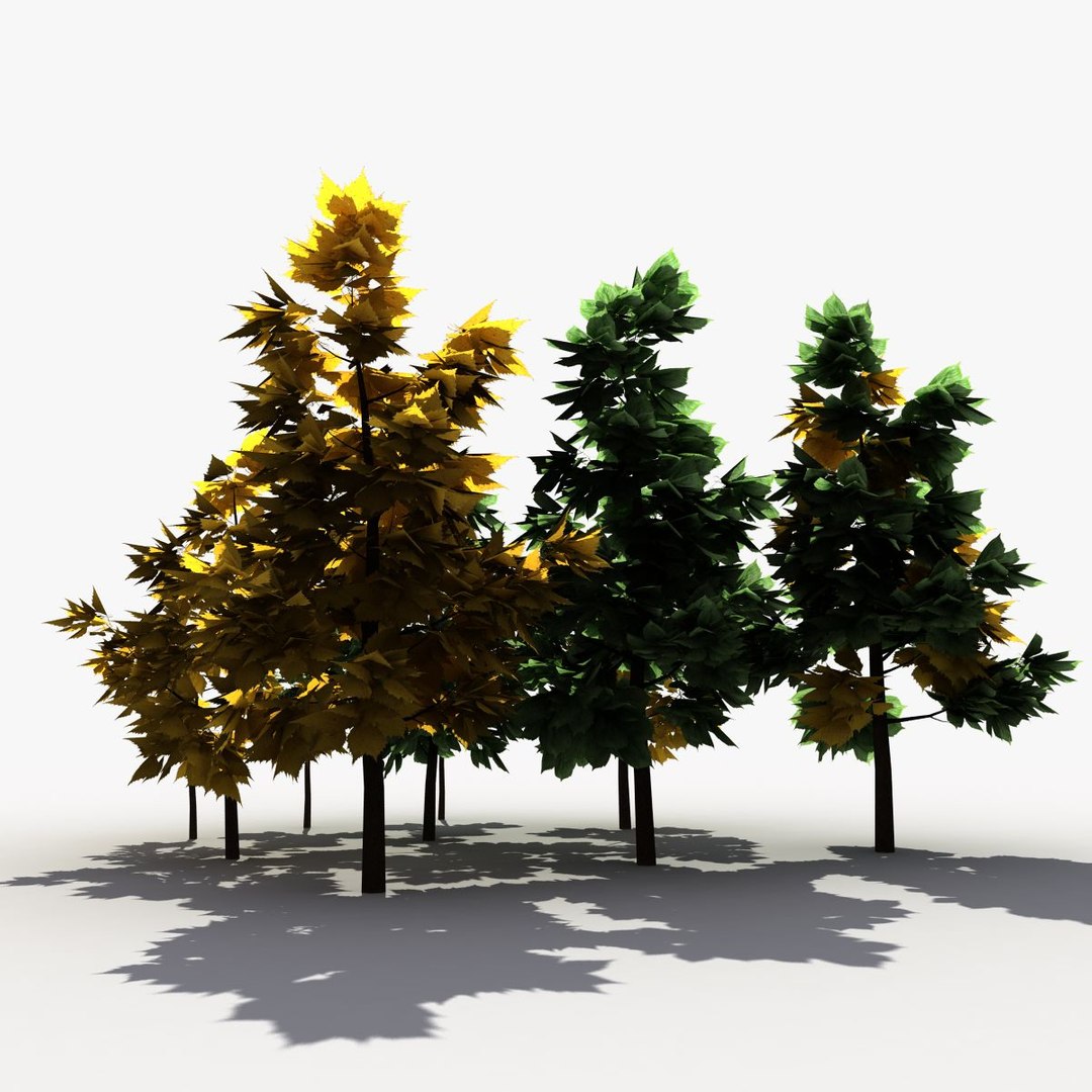 3d Modelled Tree Model