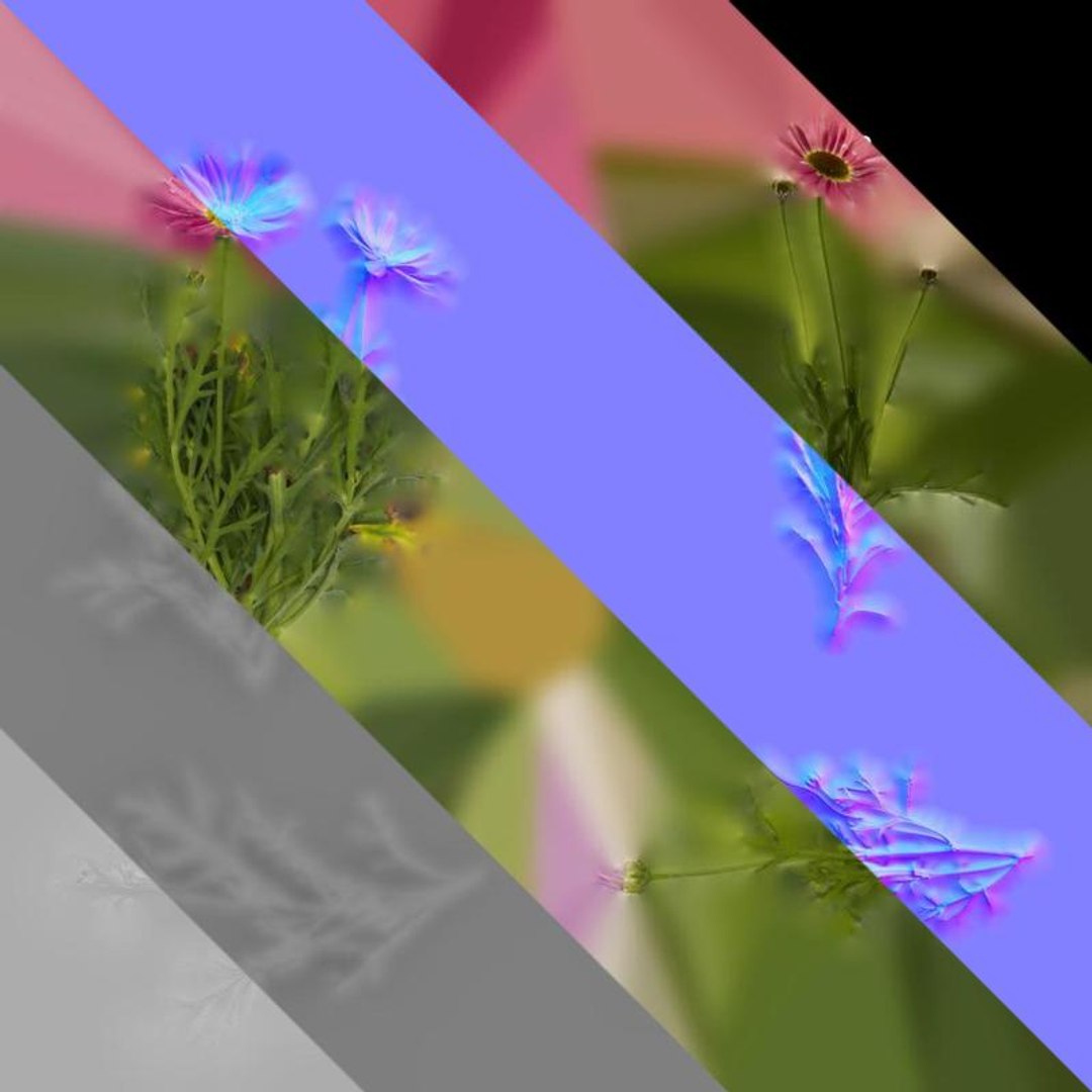 3D Anydrafts Argyranthemum Frutescens Atlas 09 Textures - TurboSquid ...