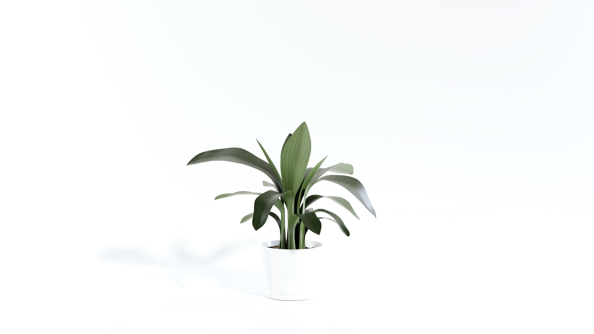 MUSKOT Plants Pots Set 3D Model - TurboSquid 1878920