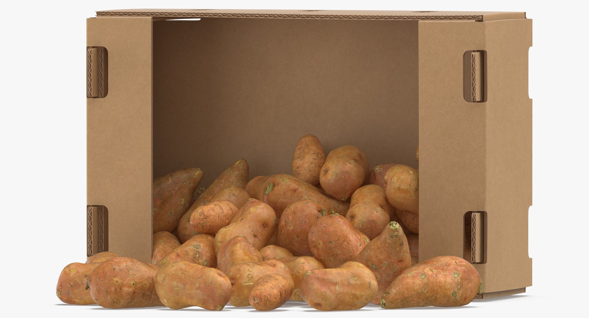 3D Model Cardboard Display Boxes Spilled - TurboSquid 1550393