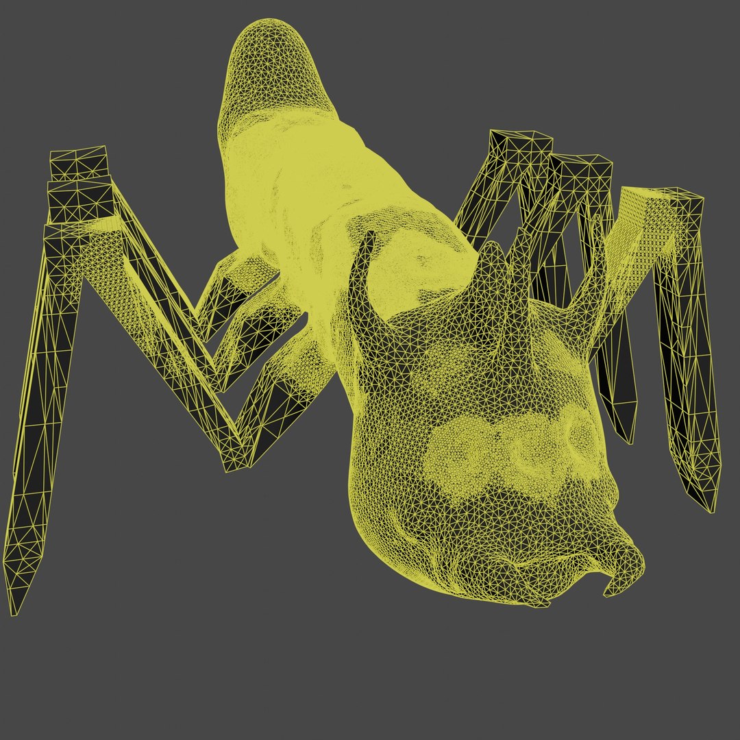Robot Spider Model - TurboSquid 2212205