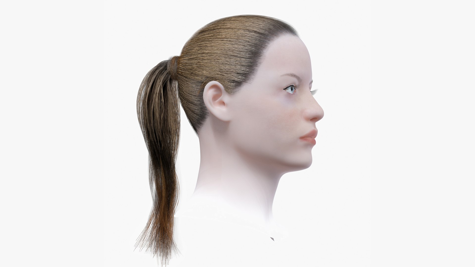 3D Human Female Head Anatomy - TurboSquid 1735940