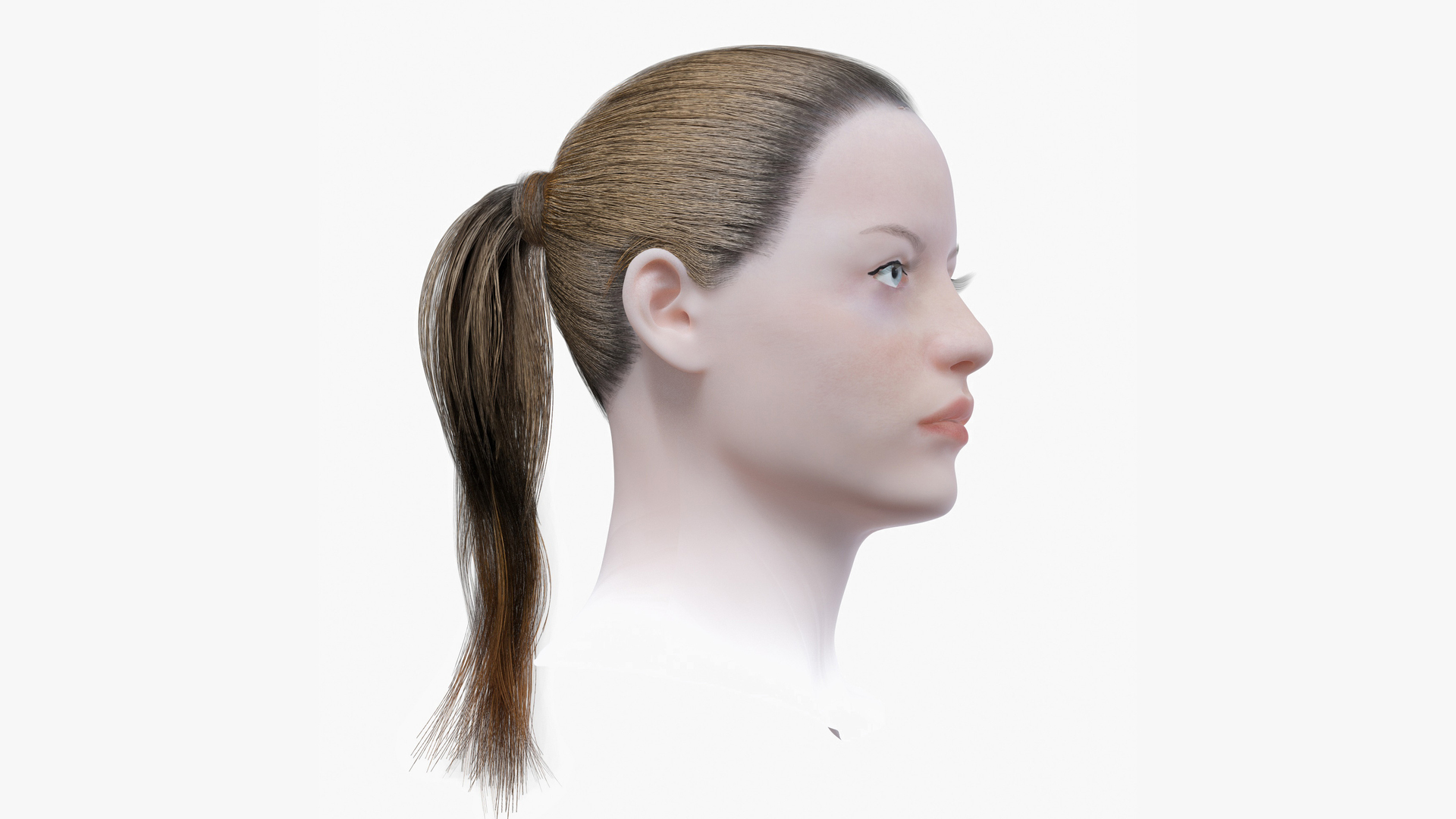 3D Human Female Head Anatomy - TurboSquid 1735940