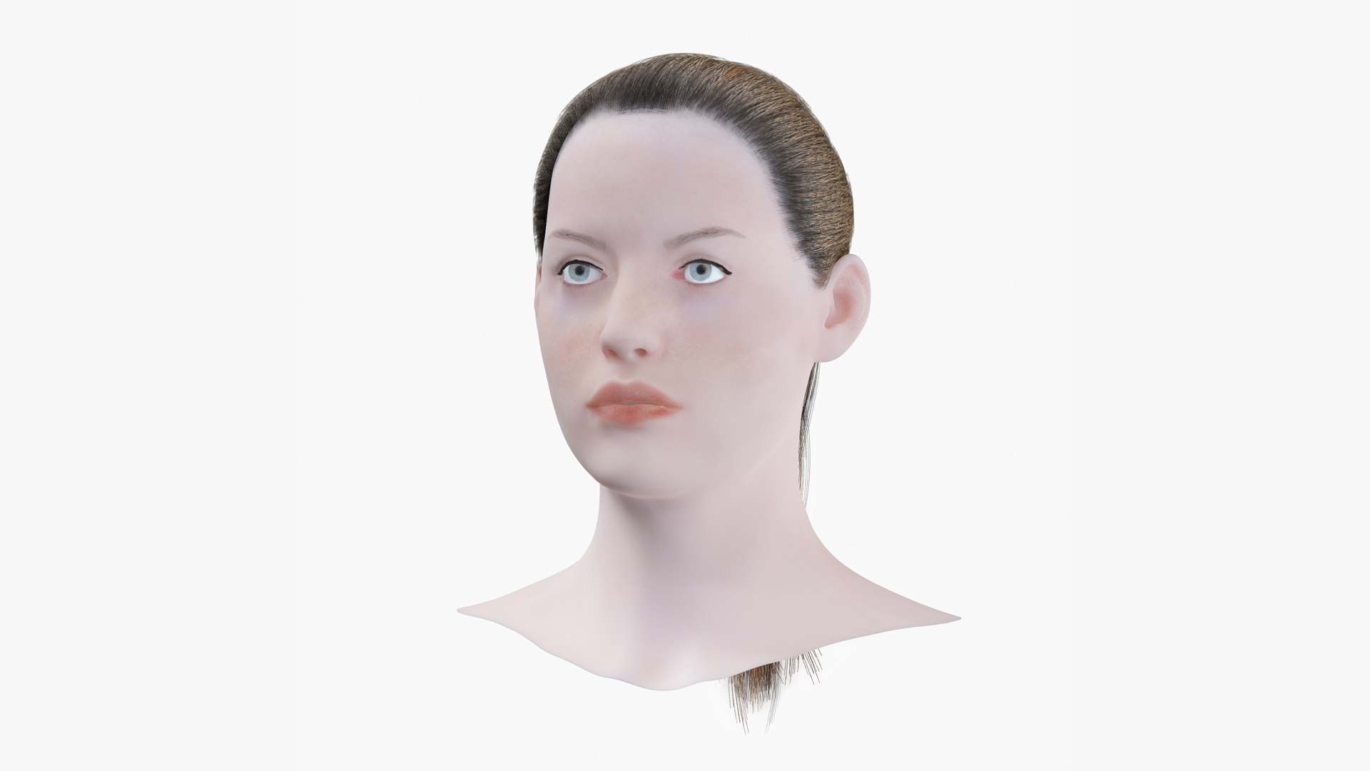 3D Human Female Head Anatomy - TurboSquid 1735940