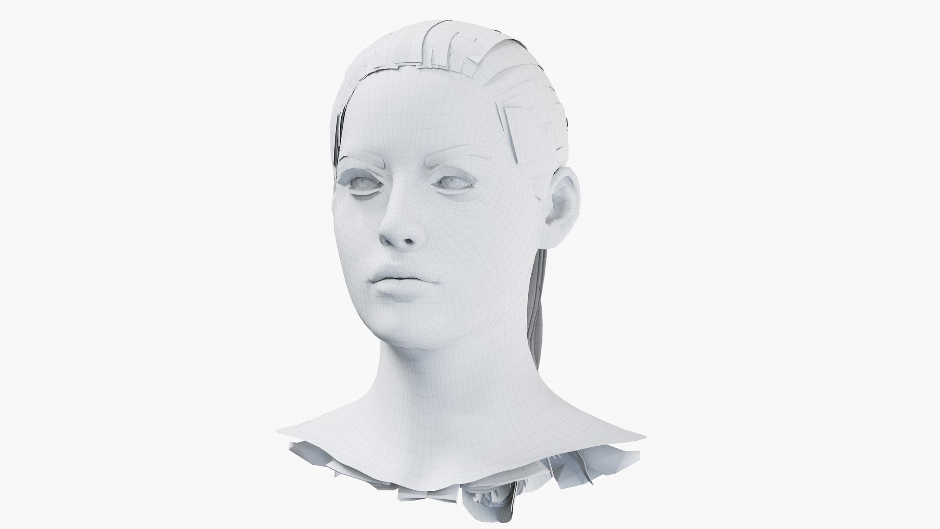 3D Human Female Head Anatomy - TurboSquid 1735940