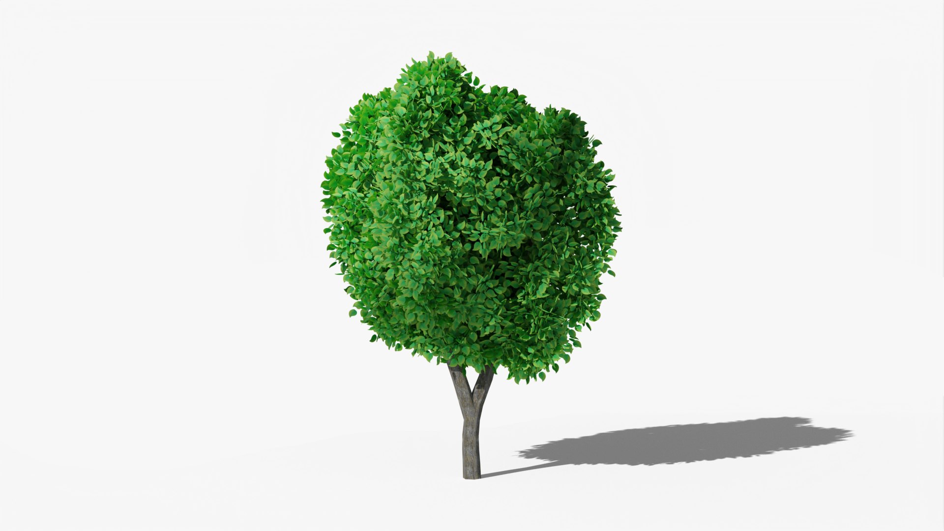 Stylized Cartoon Tree V1 Model - TurboSquid 2082486